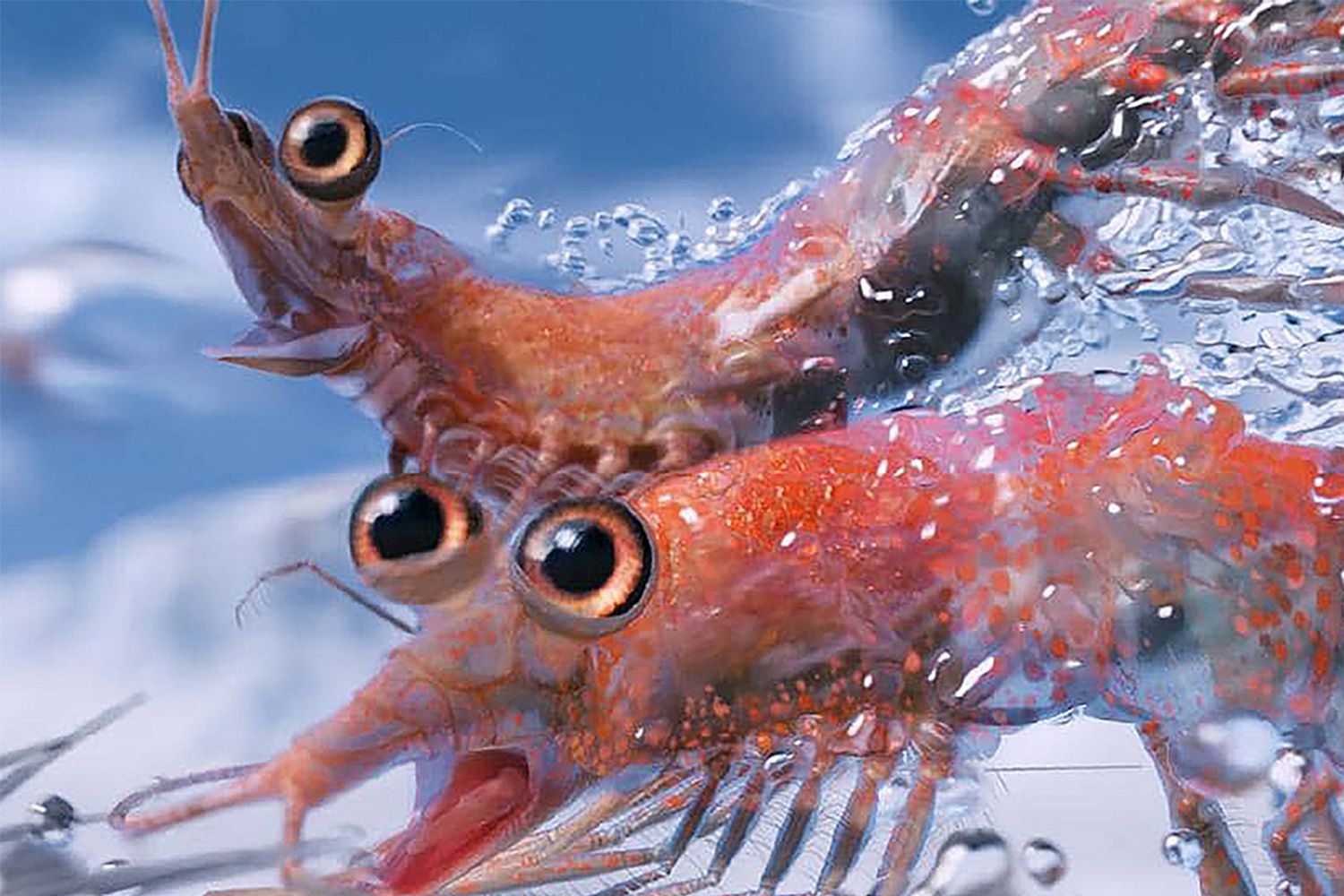 The Krill of the Antarctic