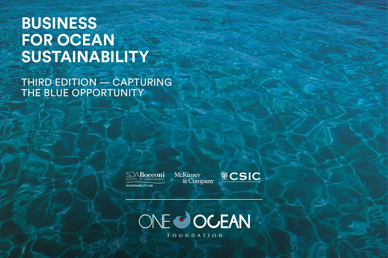 One Ocean Foundation releases the Third Edition of the Report “Business ...