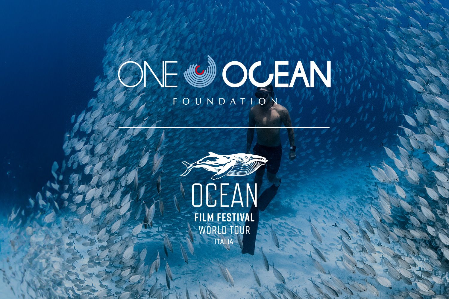 One Ocean Foundation partner of the "Ocean Film Festival"