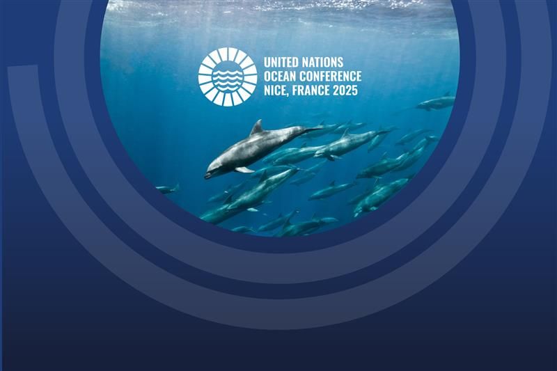 One Ocean Foundation at the United Nations Ocean Conference